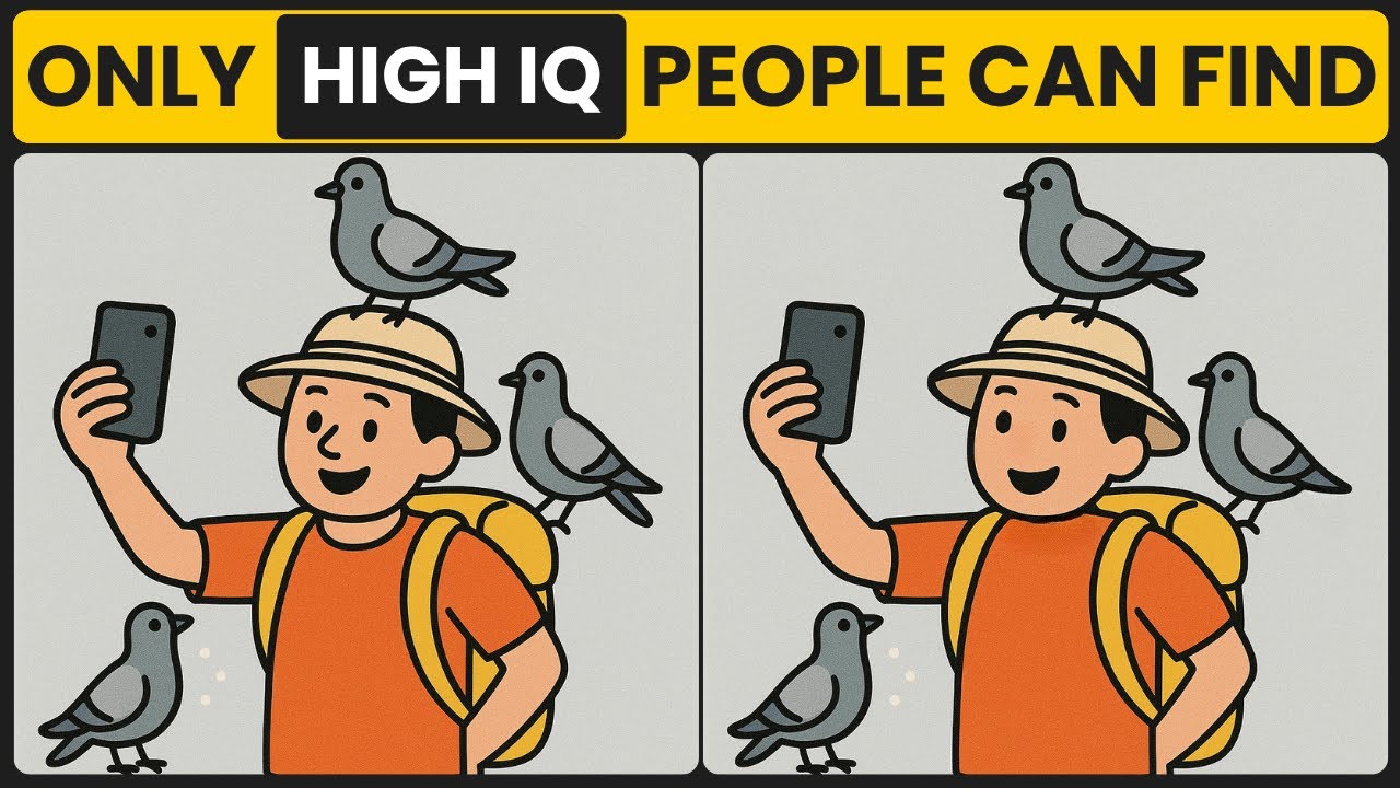 Find the differences | Find differences if you can [Spot the ...