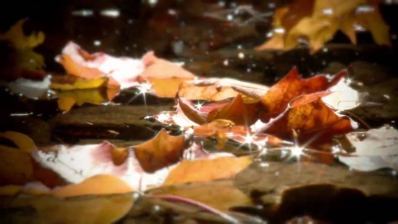 Forever Autumn (HD) - YouTube Music