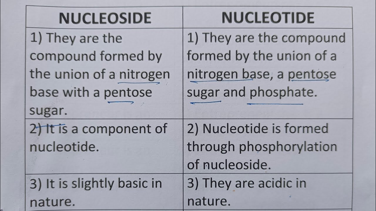 Nucleoside