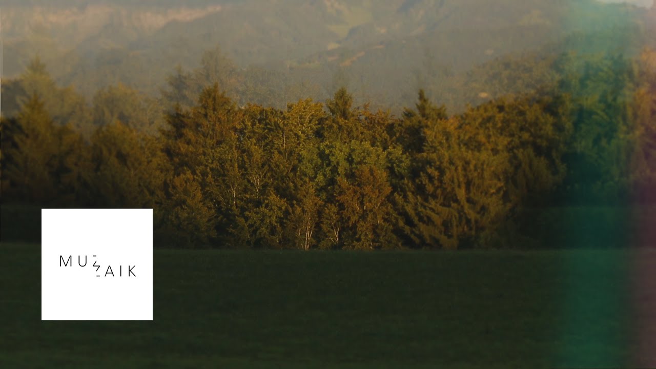 Deep and dub techno mix - ALEX HUMANN - Muzaikfm 013 - YouTube