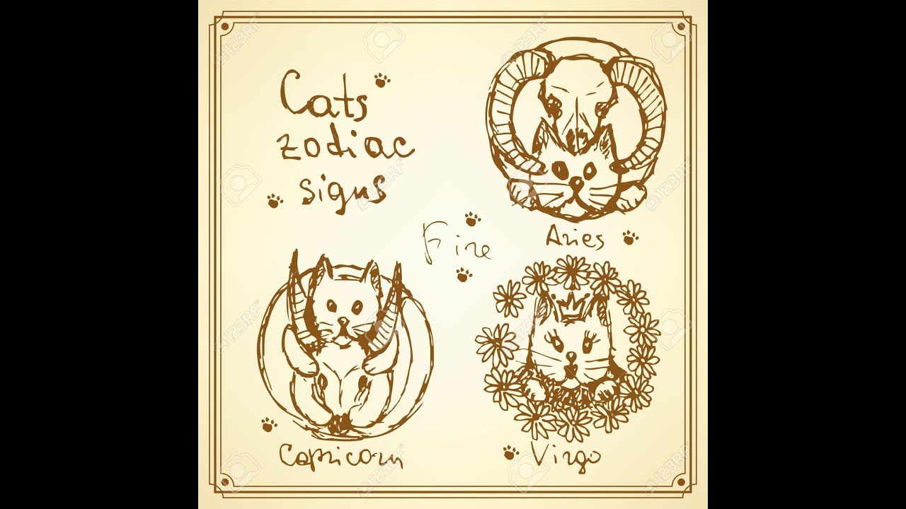 Sabes cuál es el signo zodiacal de tu gato. - YouTube