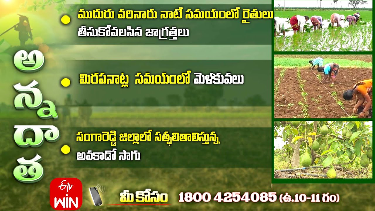 29th August 2024 | Annadata | అన్నదాత | Full Episode | ETV Telugu - YouTube