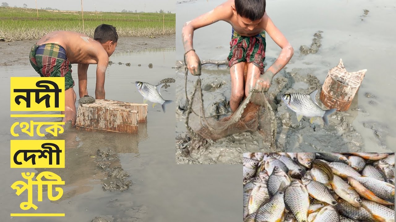 ঝাঁকি জাল দিয়ে মাছ ধরা _ Amazing Net Fishing _ Amazing Net Fishing ...