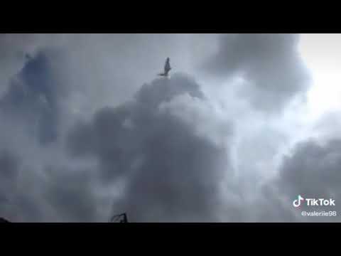 Angel captado en la vida real - YouTube