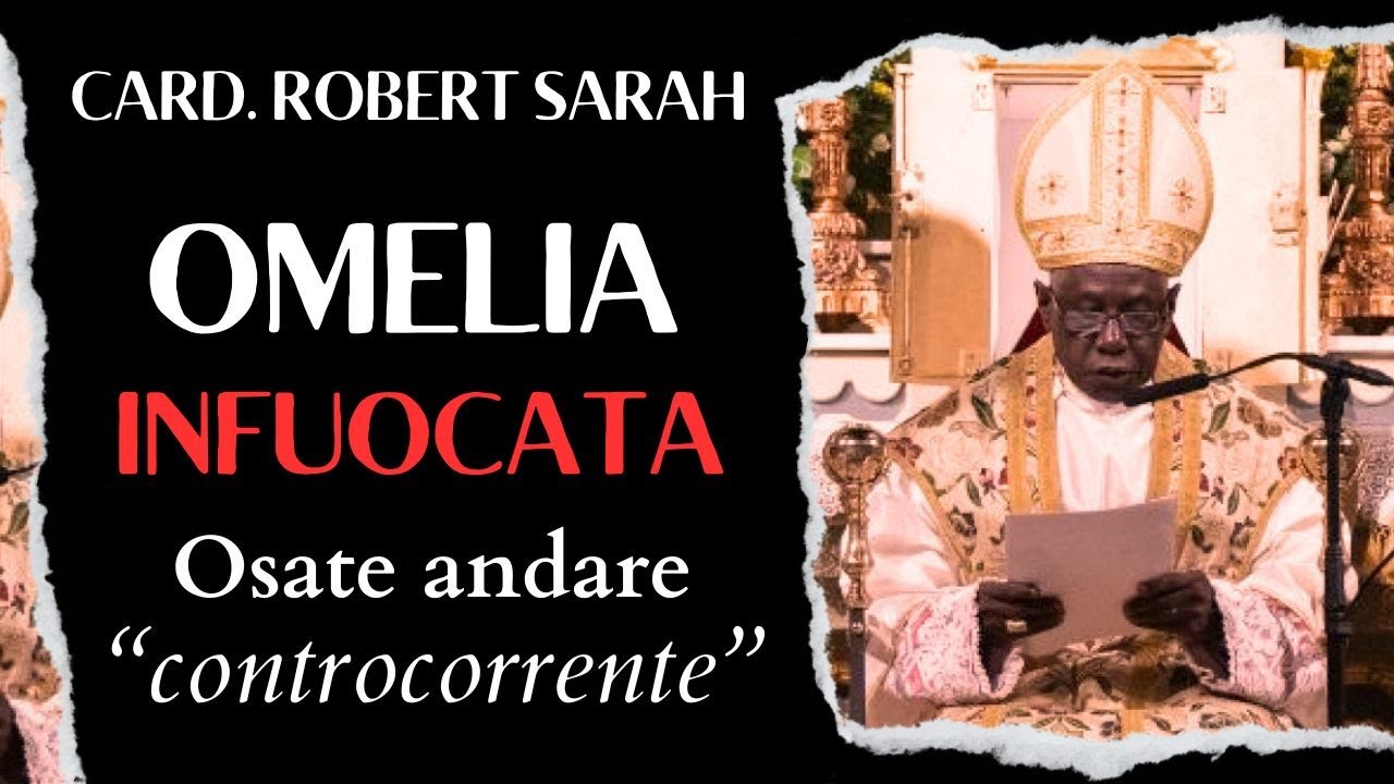 Omelia INFUOCATA del Cardinal Sarah: “Osate andare controcorrente ...