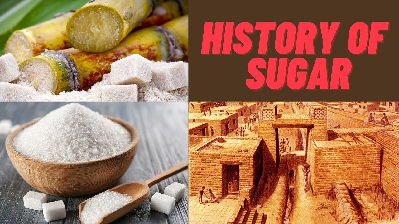 From Papua New Guinea to India - The History of Sugar !! - YouTube