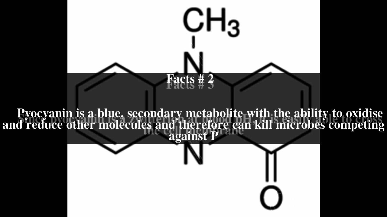 Pyocyanin Top # 5 Facts - YouTube