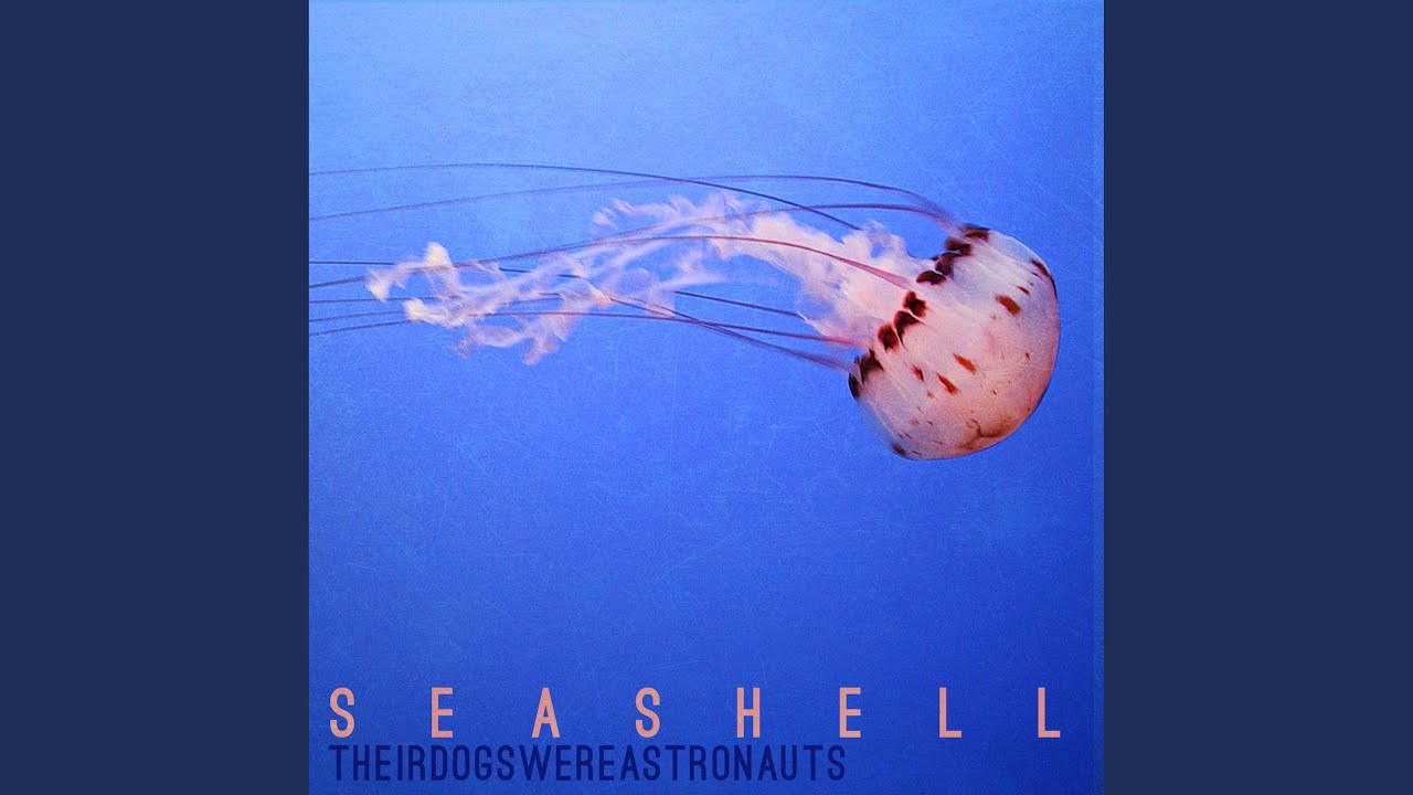 Seashell YouTube seashell-youtube