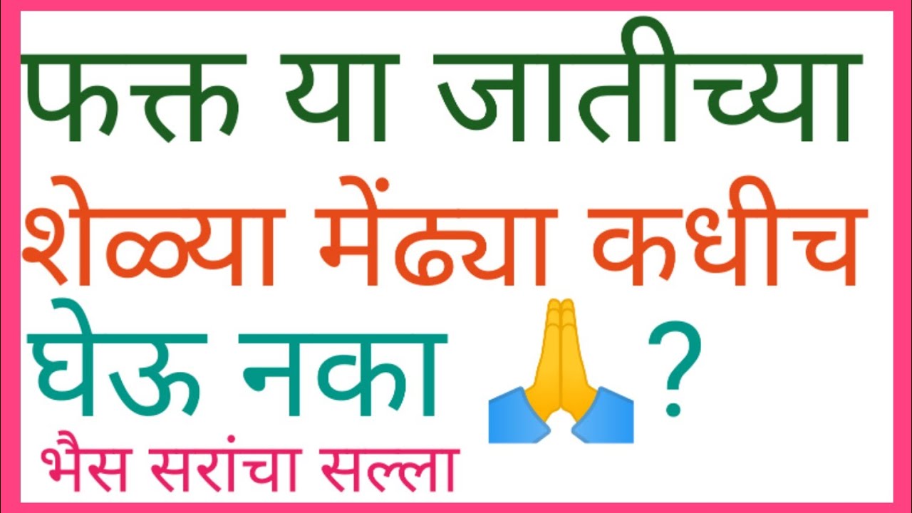 #bhais sir piliv#या जातीच्या शेळ्या मेंढ्या घेऊच नका #bhais sir bhajan ...