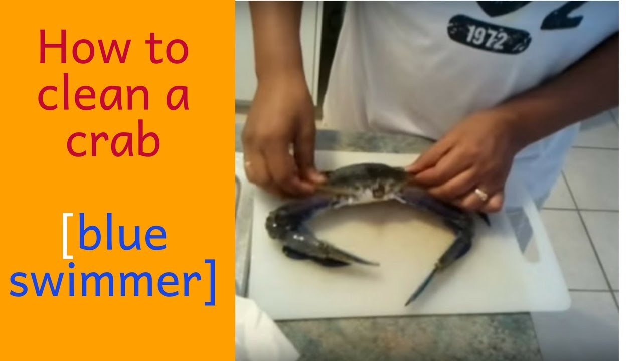 How to clean a crab video Featuring Australian Blue swimmer crabs - YouTube