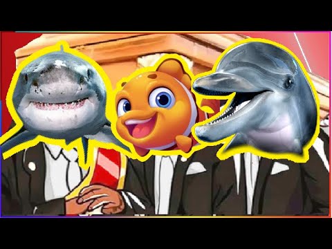 Shark Vs Fish Vs Dolphins - Coffin Dance Meme Cover - YouTube