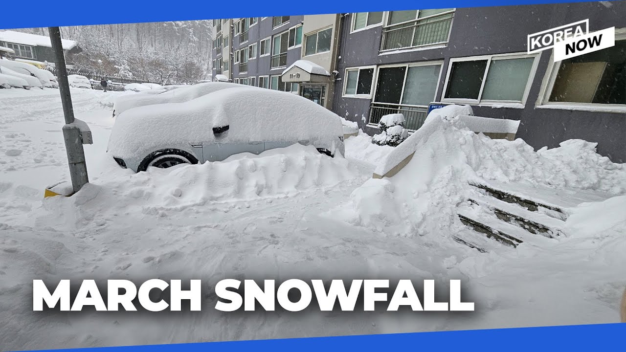 Unusually heavy snowfall in March stops multiple ferries and flights ...