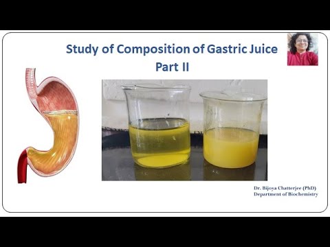 Composition of Gastric Juice: Part II - YouTube