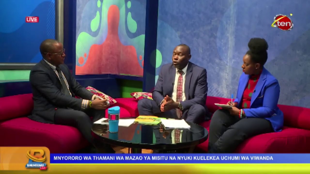 Tanzania Forestry Research Institute (TAFORI) – Tanzania Forestry ...