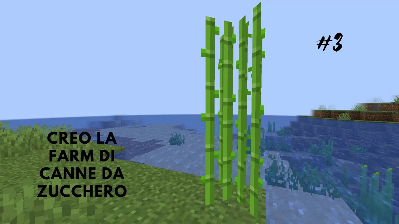 Creo la farm di canne da zucchero su minecraft:ITA #3 - YouTube