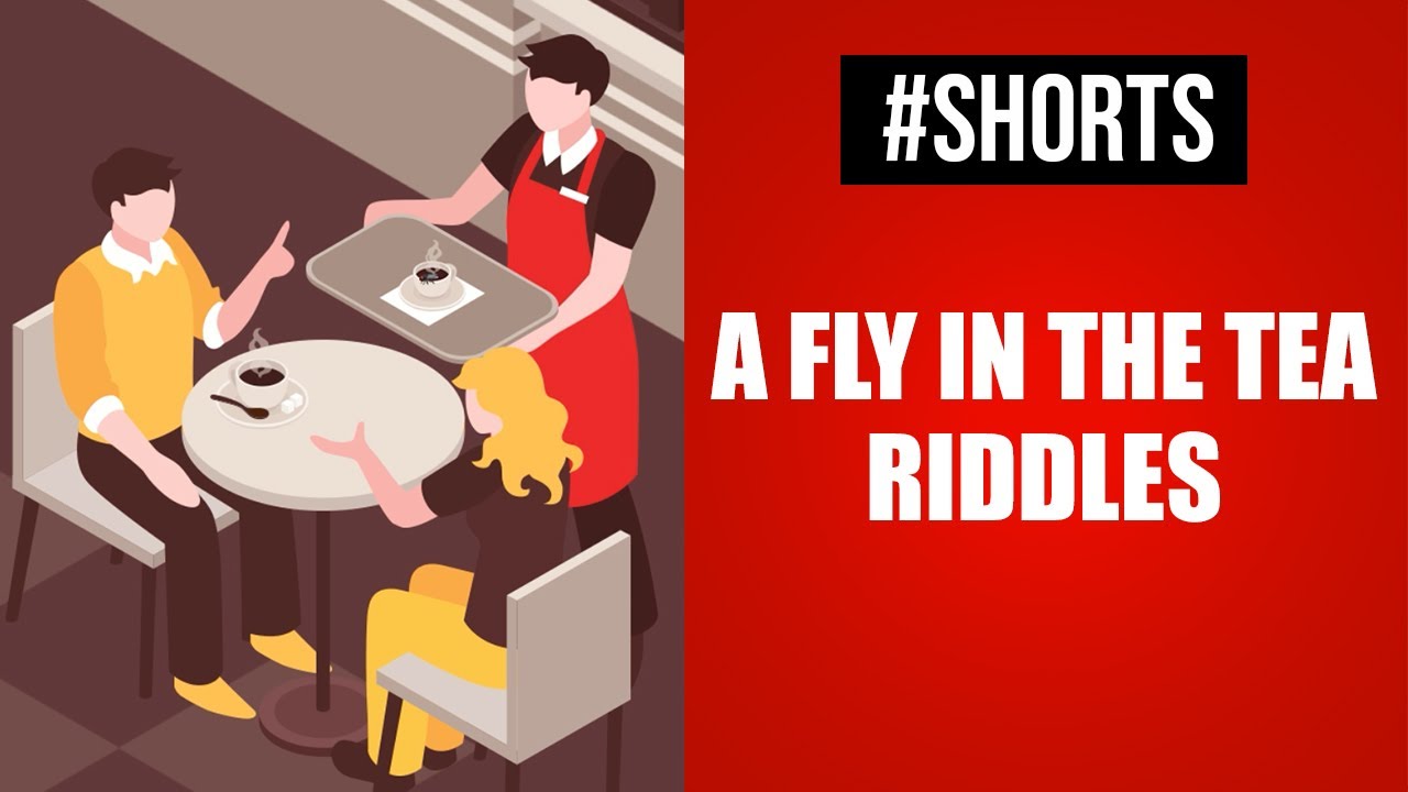 A Fly in the Tea Riddle | Can you solve this hard riddle #shorts - YouTube