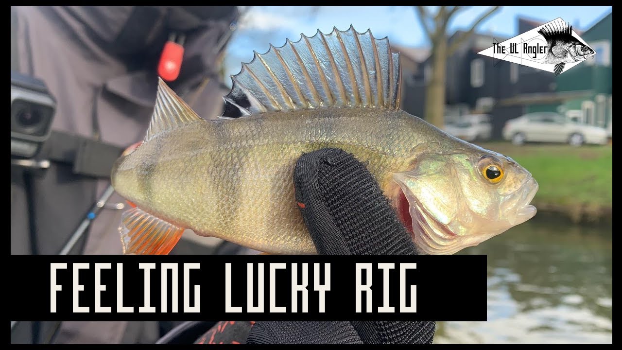Ultralight Fishing: Baars tikken met de FL-Rig - YouTube
