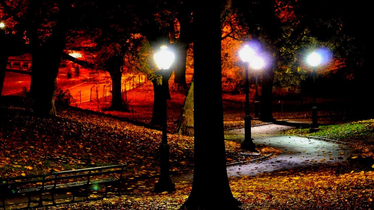 First Night Of Fall | Welcoming Fall with Nature's Cricket Ambience 🍁🍂 ...