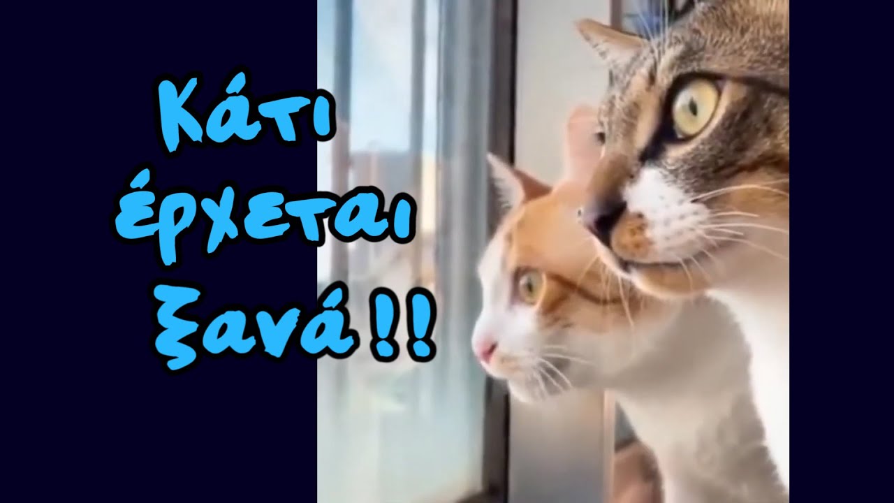 ΓΙΑ ΤΑ ΜΑΤΙΑ ΤΟΥΣ ΜΟΝΟ στιγμιότυπα .. σύντομα κοντά σας - YouTube