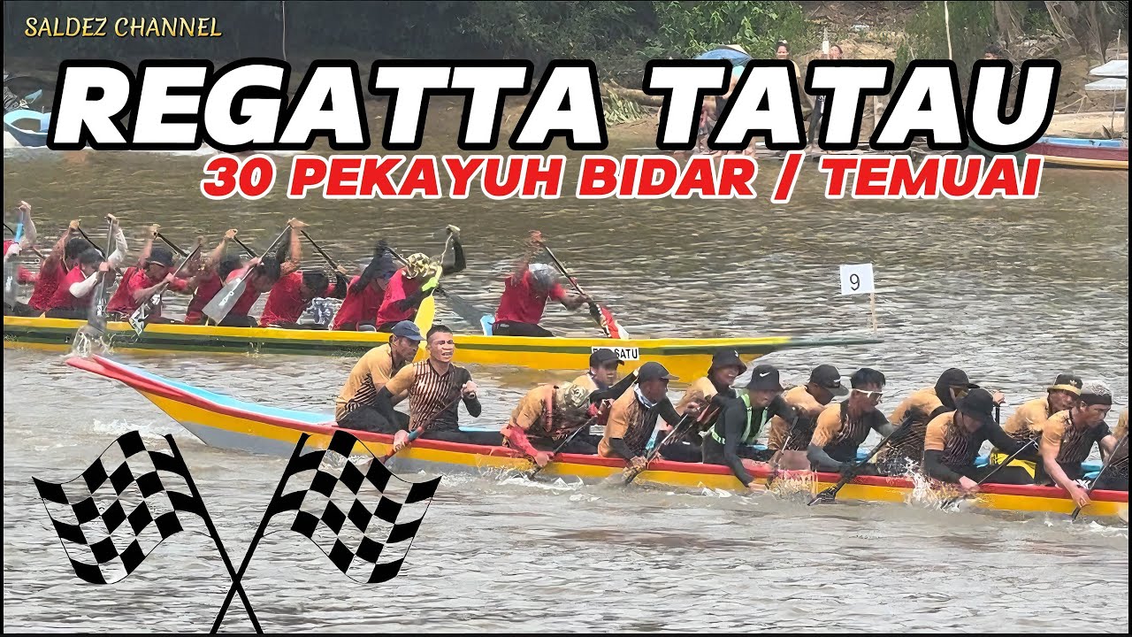 RAJA SUNGAI ⁉️REGATTA TATAU | PERLUMBAAN 30 PEKAYUH BIDAR / TEMUAI ...