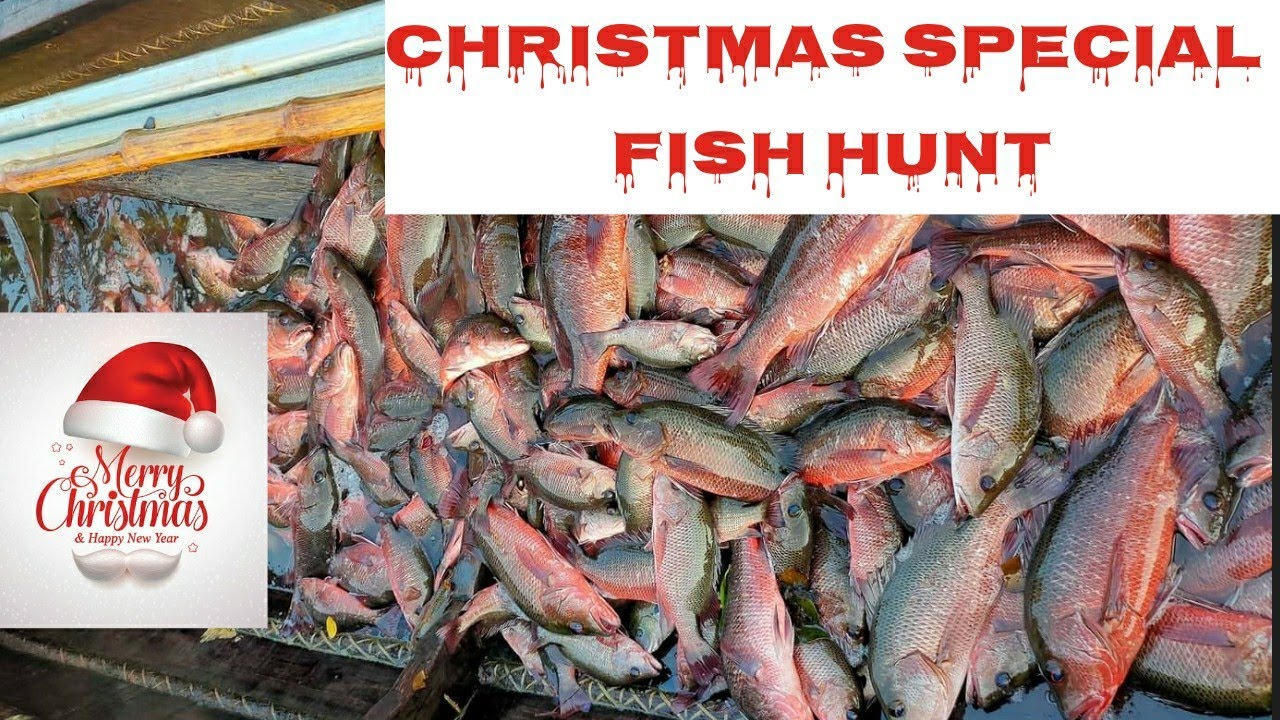 fishing kerala| chempally fish Hunt |Kerala fishing tech | klf tech ...