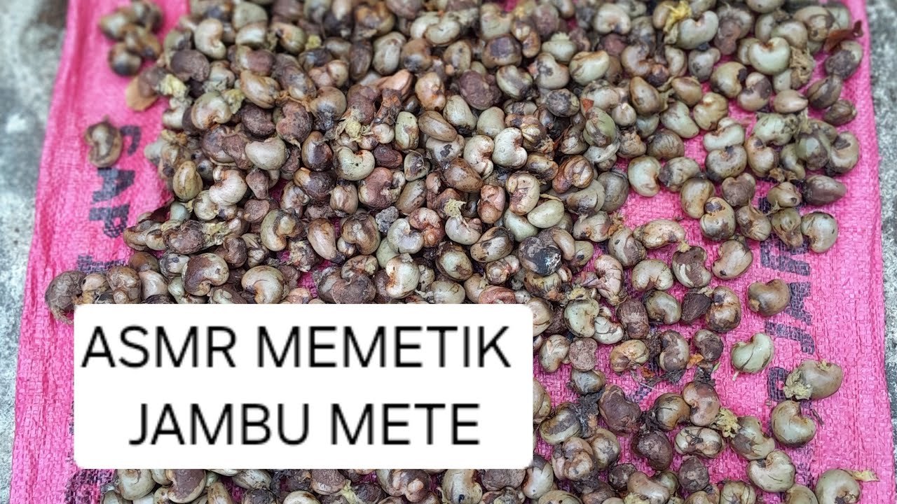 Asmr Memetik Jambu Mete - YouTube