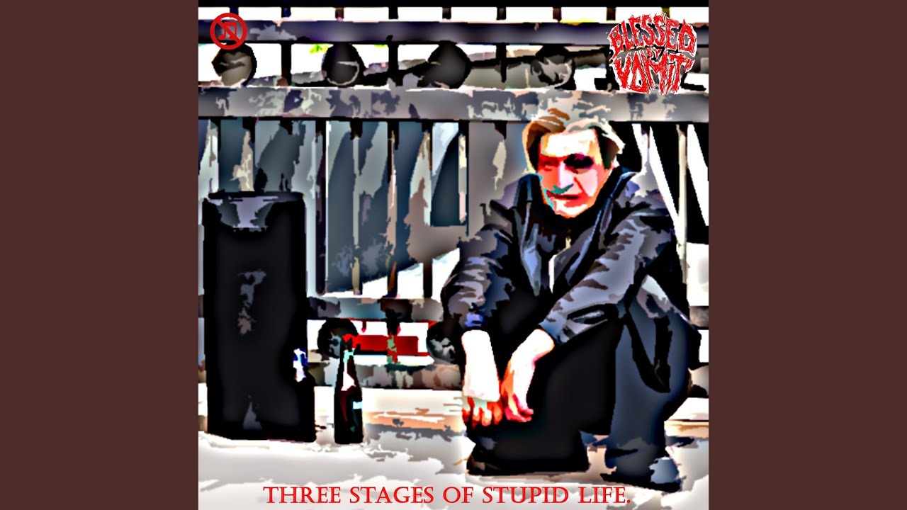 Three Stages of Stupid Life - YouTube