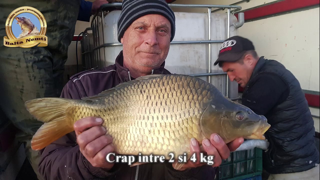 Populare Balta Nemti - 1500 kg - 12 martie 2020 - YouTube