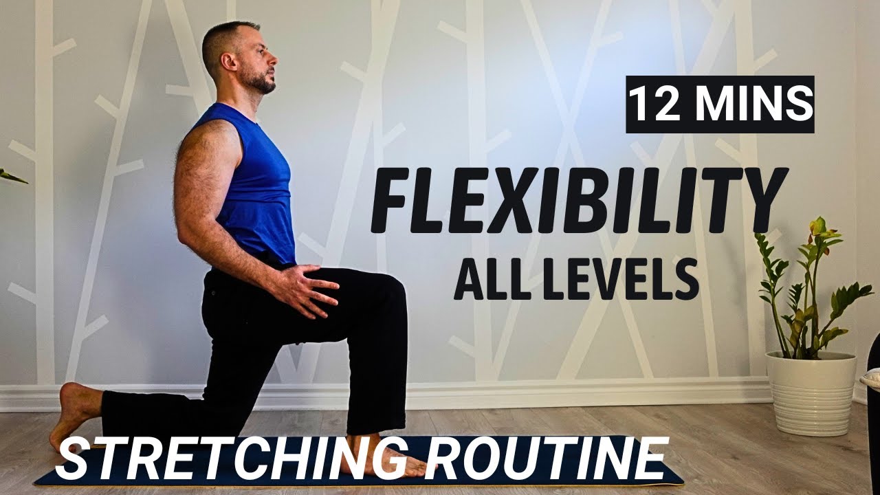 12 MINUTE ESSENTIAL STRETCHING ROUTINE | Follow Along | - YouTube
