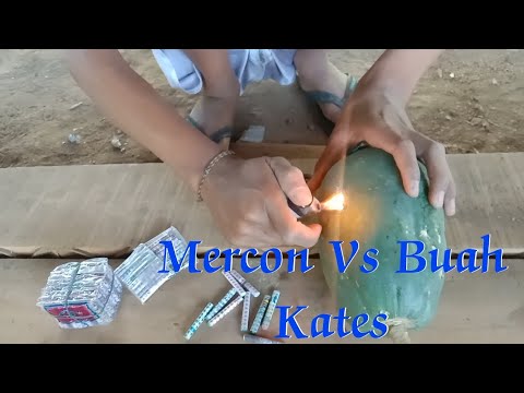 Main mercon Lombok masukin buah pepaya