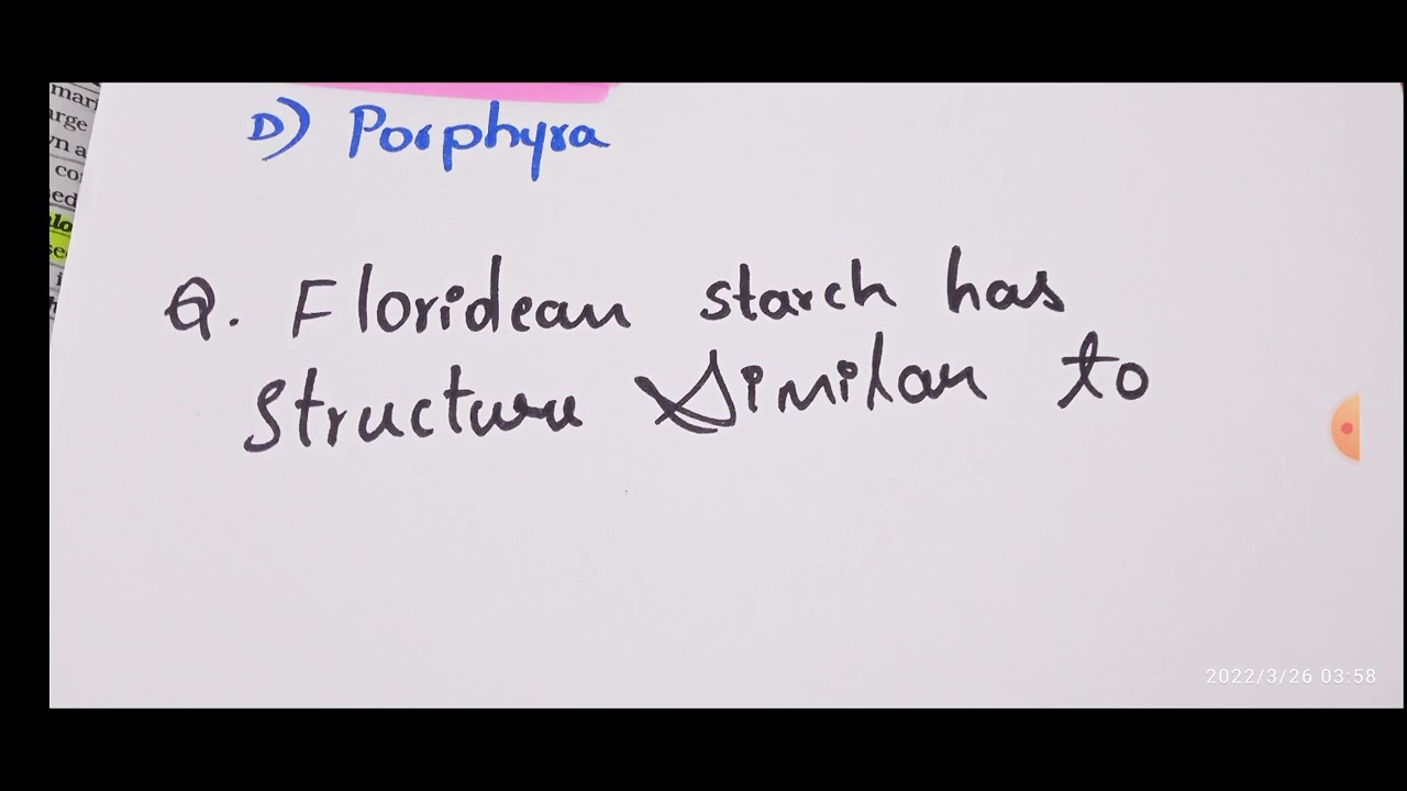 Floridean starch has structure similar to#plantkingdom - YouTube