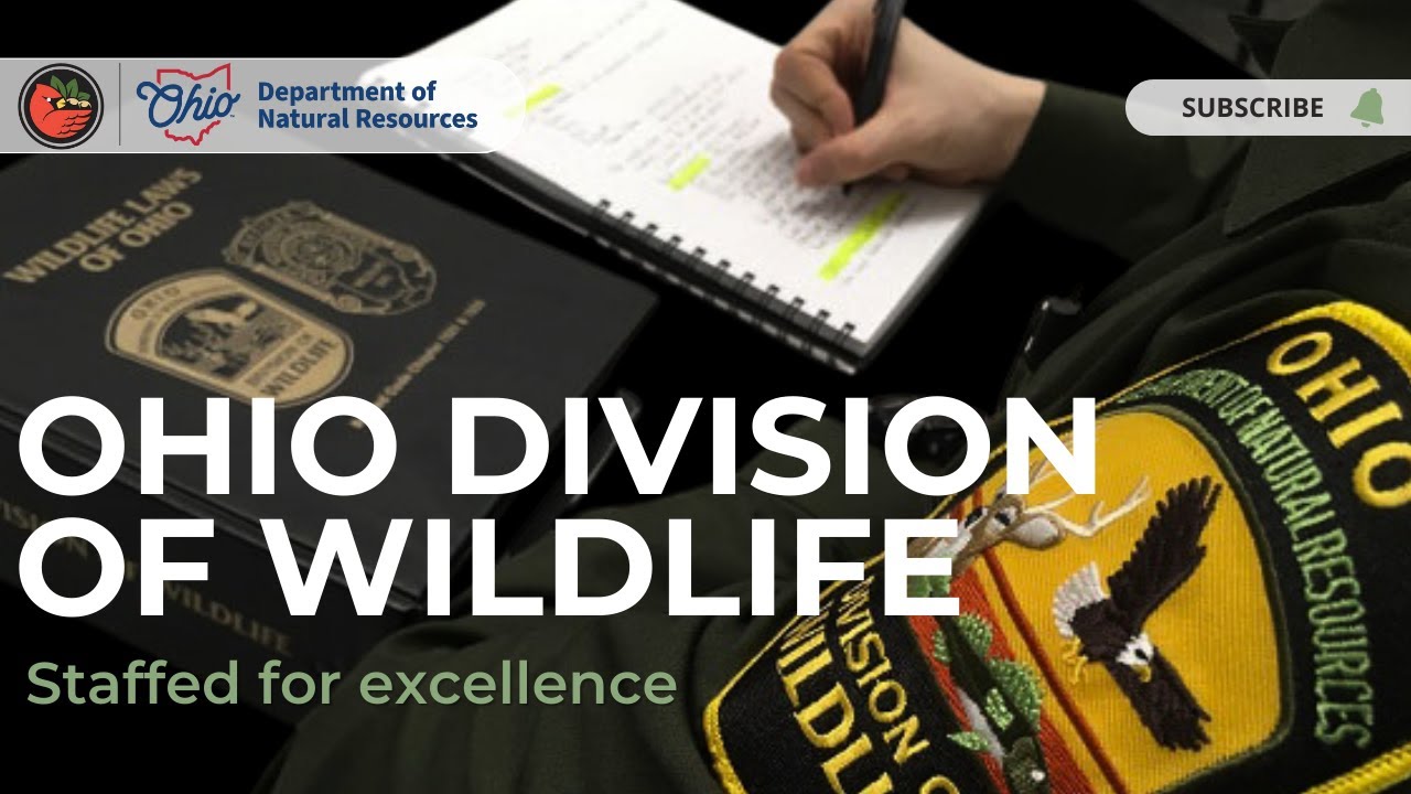 Ohio Division of Wildlife – Staffed for Excellence - YouTube