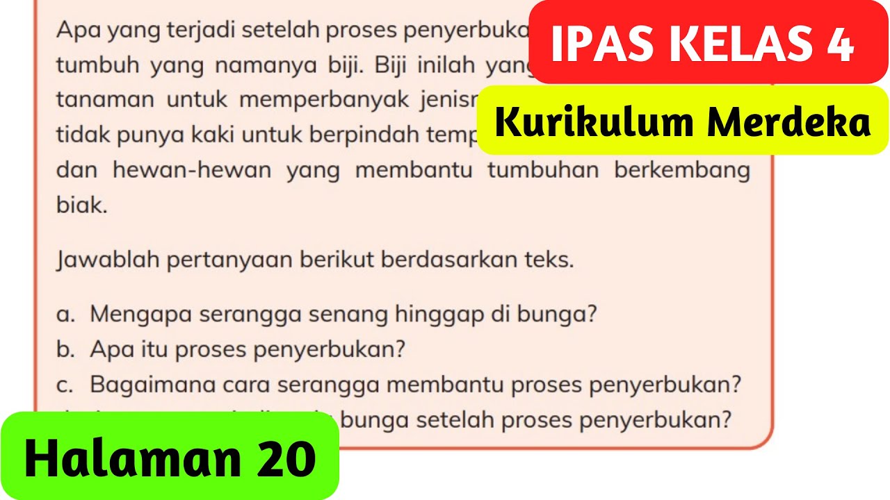 Mengapa Serangga Senang Hinggap Di Bunga Apa Itu Proses Penyerbukan ...