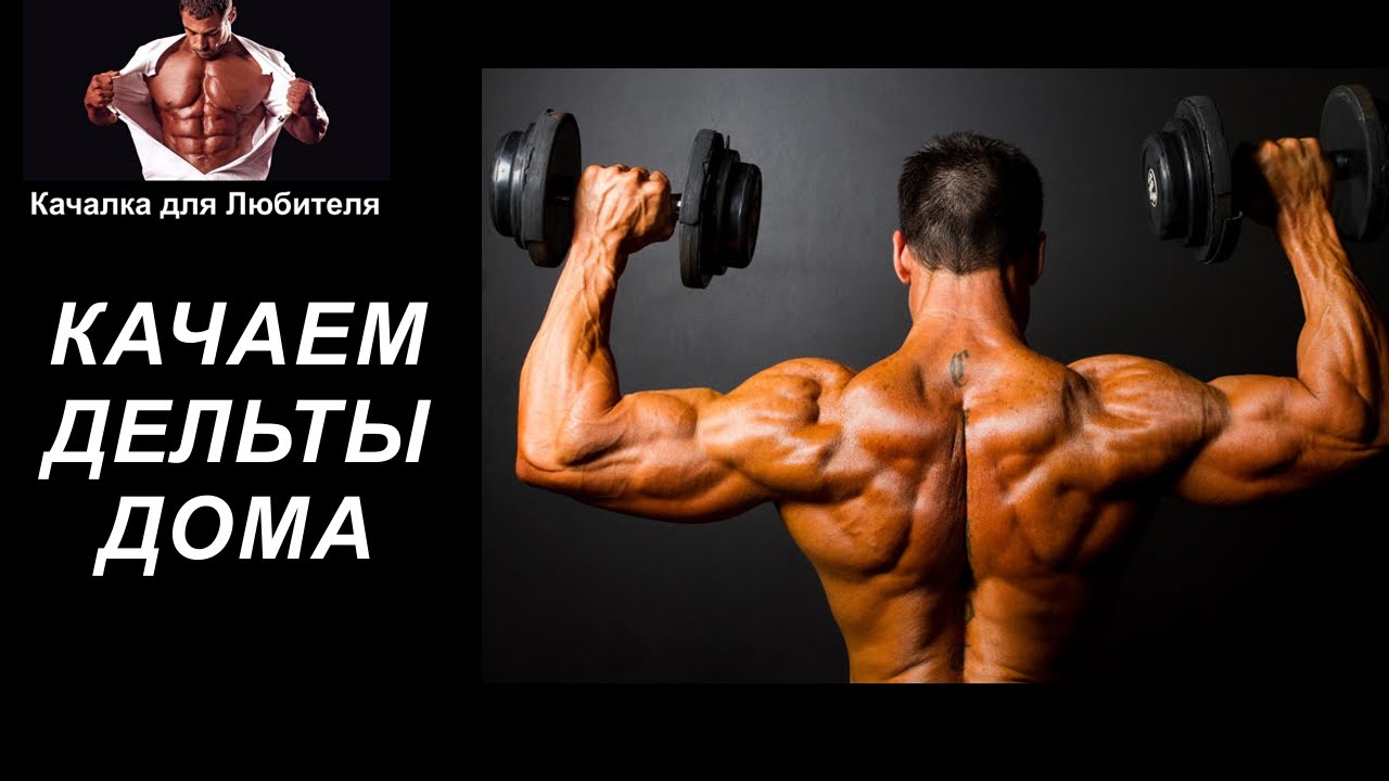 КАК НАКАЧАТЬ ПЛЕЧИ ДОМА Комплекс Упражнений на Дельты Youtube