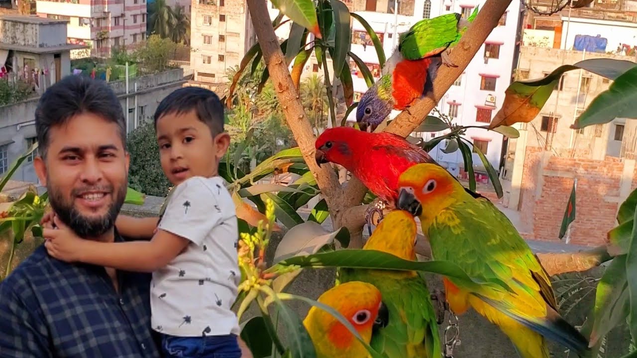 পাখি নিয়ে ঘুরতে আসছি | Sk Shokher Pakhi | Sun Conur, Beautiful Birds ...