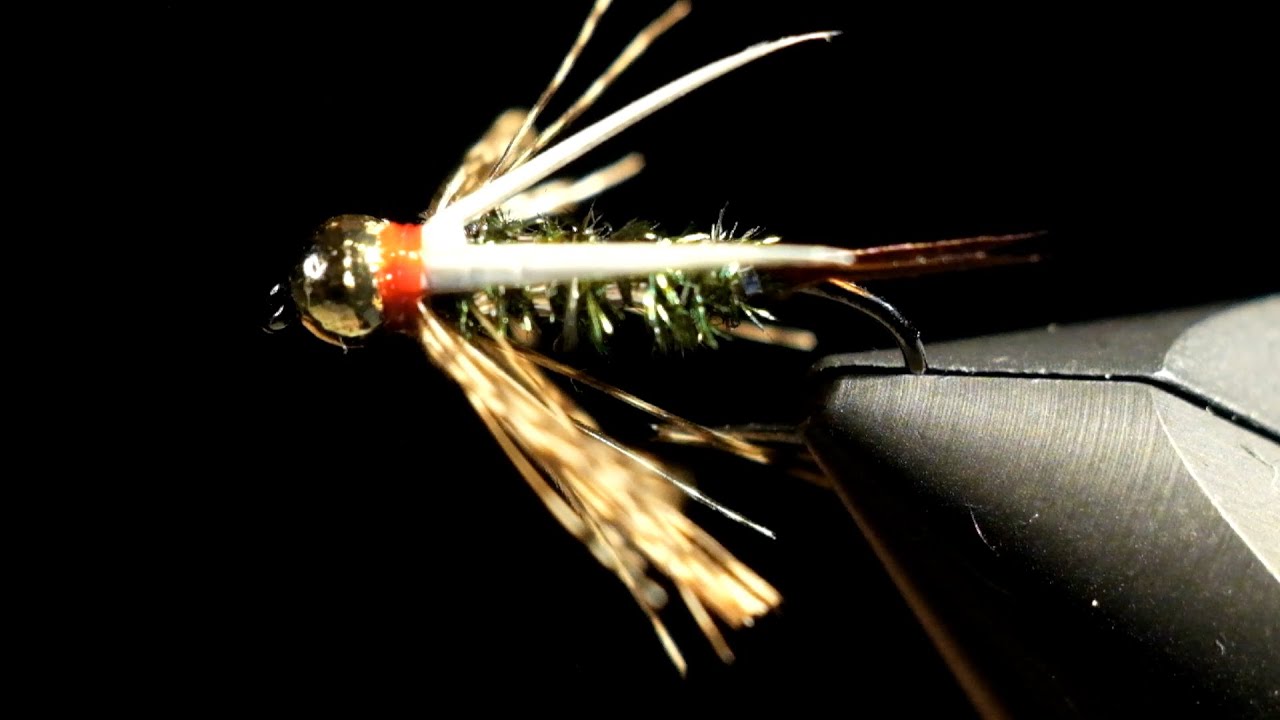Doug Prince Fly - YouTube