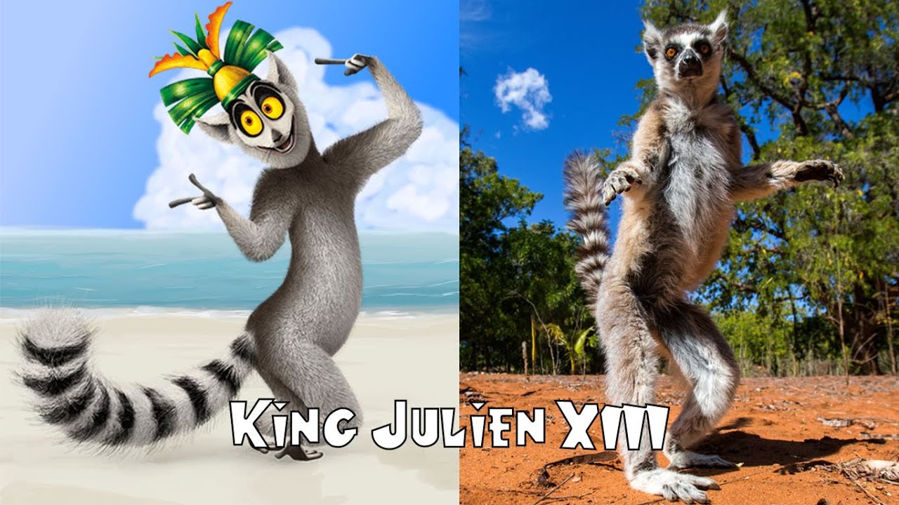 Madagascar in Real Life - YouTube