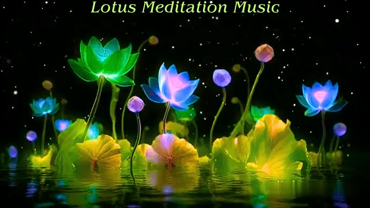 Lotus Meditation Music, #HealingMusic #meditationmusic #yogamusic # ...