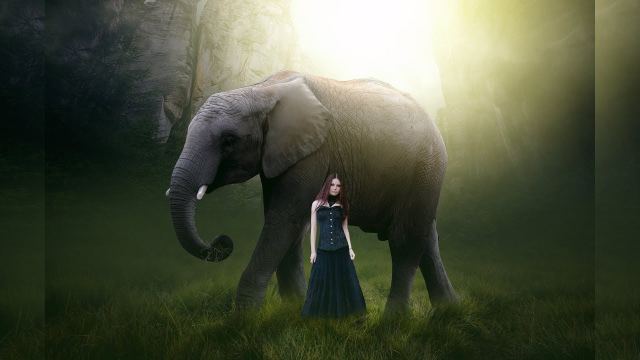 The Elephant : Photo Manipulation | Photoshop Speed Art - YouTube