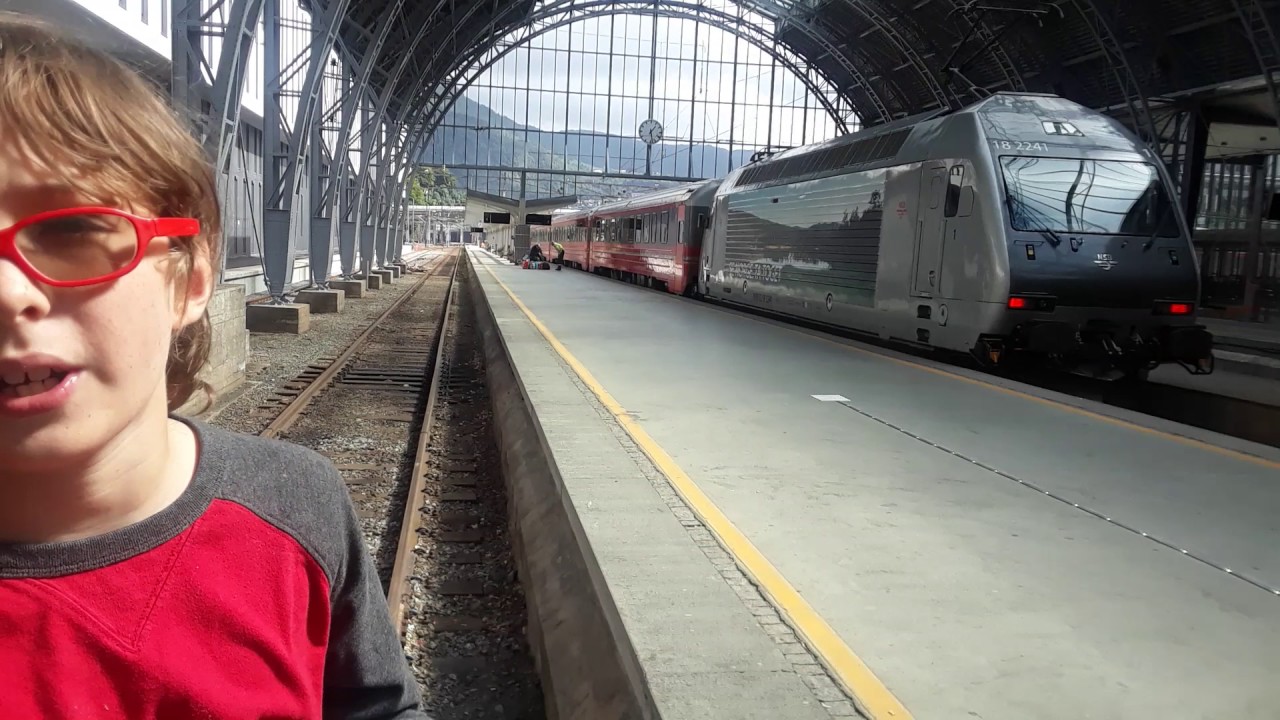 Trip with Moss- Train station Bergen to Oslo - YouTube