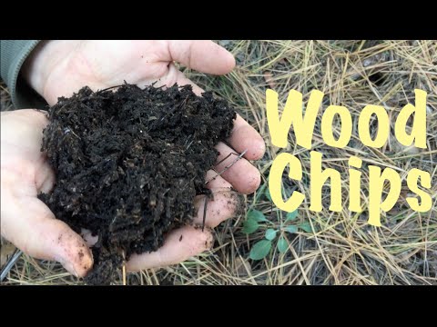 The Power of Wood Chips in Your Garden