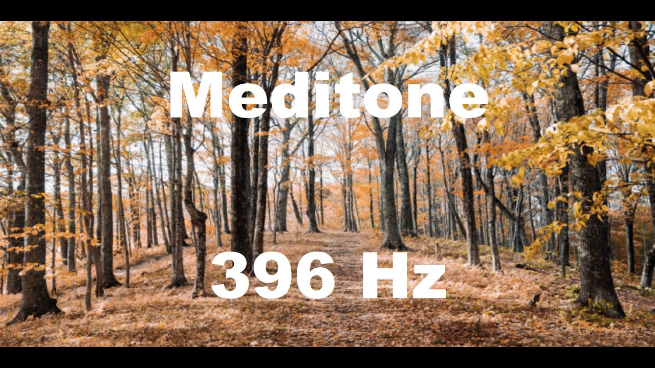 396 Hz : Meditone Mixed with Strong Forest Breeze through Leaves - YouTube