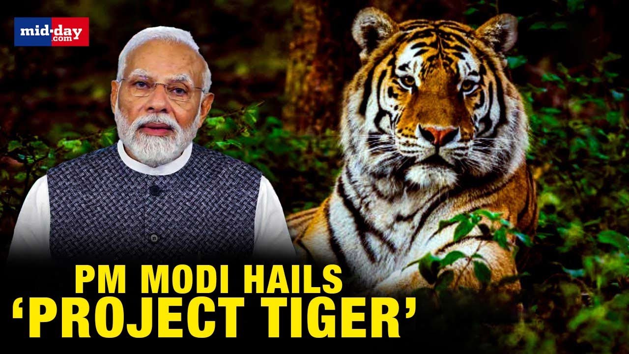 International Tiger Day 2023: PM Narendra Modi hails Project Tiger at ...