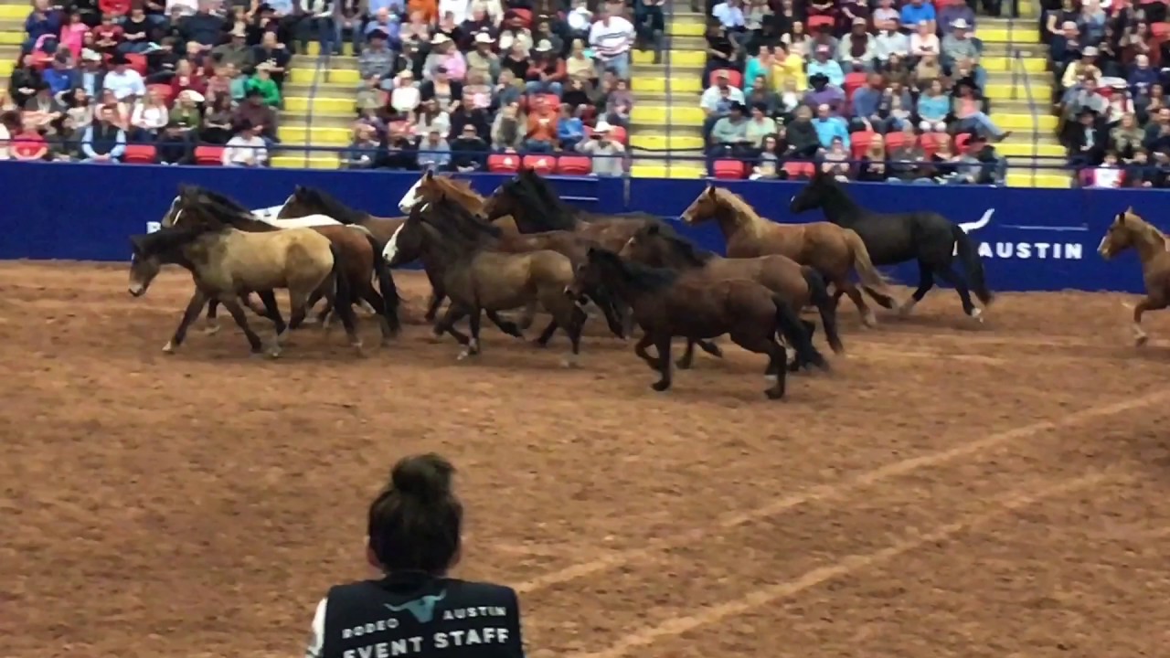 First Rodeo - YouTube