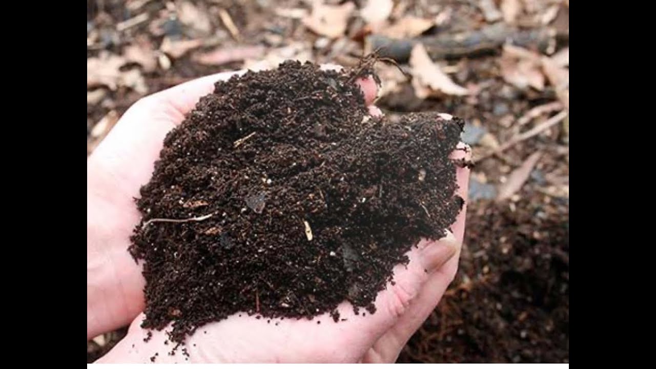 Composting Basics - YouTube