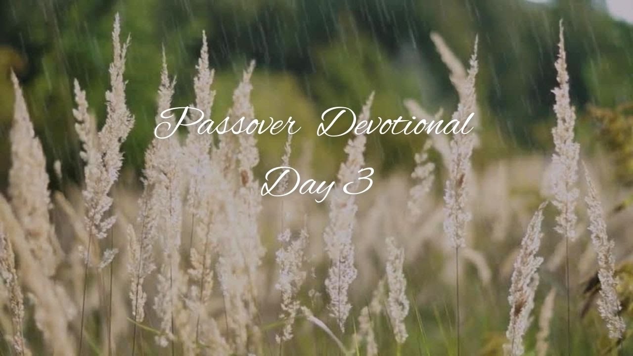 Passover Devotional Day 3 / Exodus 9/ Diseases, Boils and Severe Storms ...