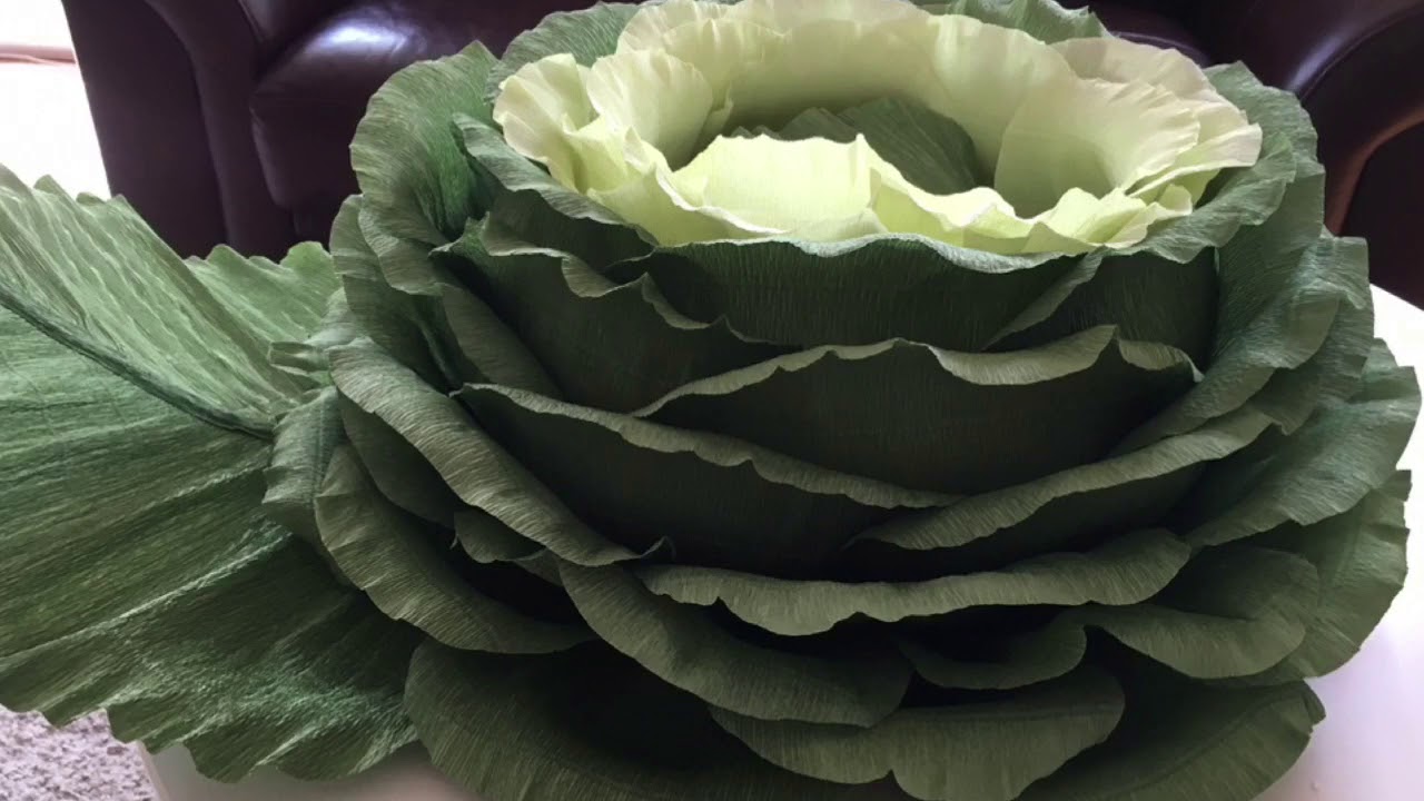 Cabbage from Paper crepe for baby sesions 💕 - YouTube