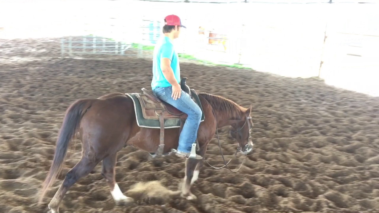 Own son of DUAL PEP - YouTube