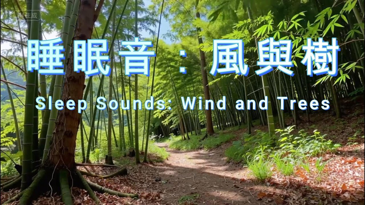 睡眠音：風與樹 Sleep Sounds: Wind and Trees - YouTube