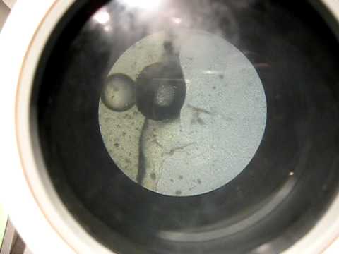 A Bristly Microbe, New York Hall of Science - YouTube